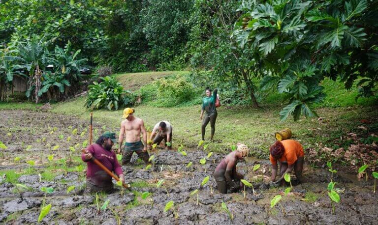 Hoʻokuaʻāina in Maunawili: Sustaining Culture and Community Through ...